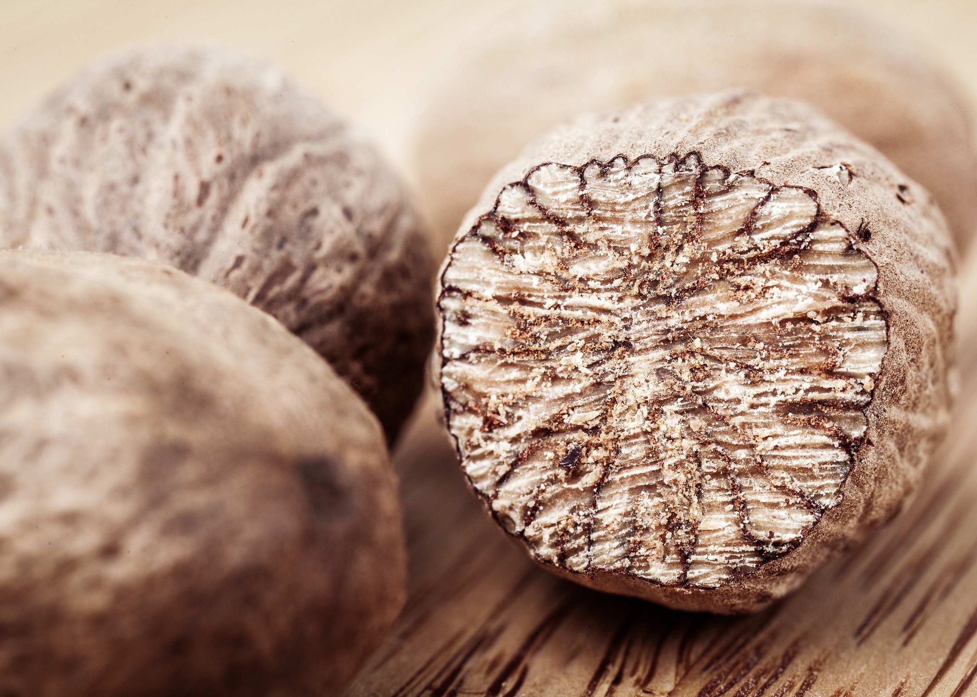 Nuevos colores Mate Noble: Una fiesta para los sentidos | REHAU ...